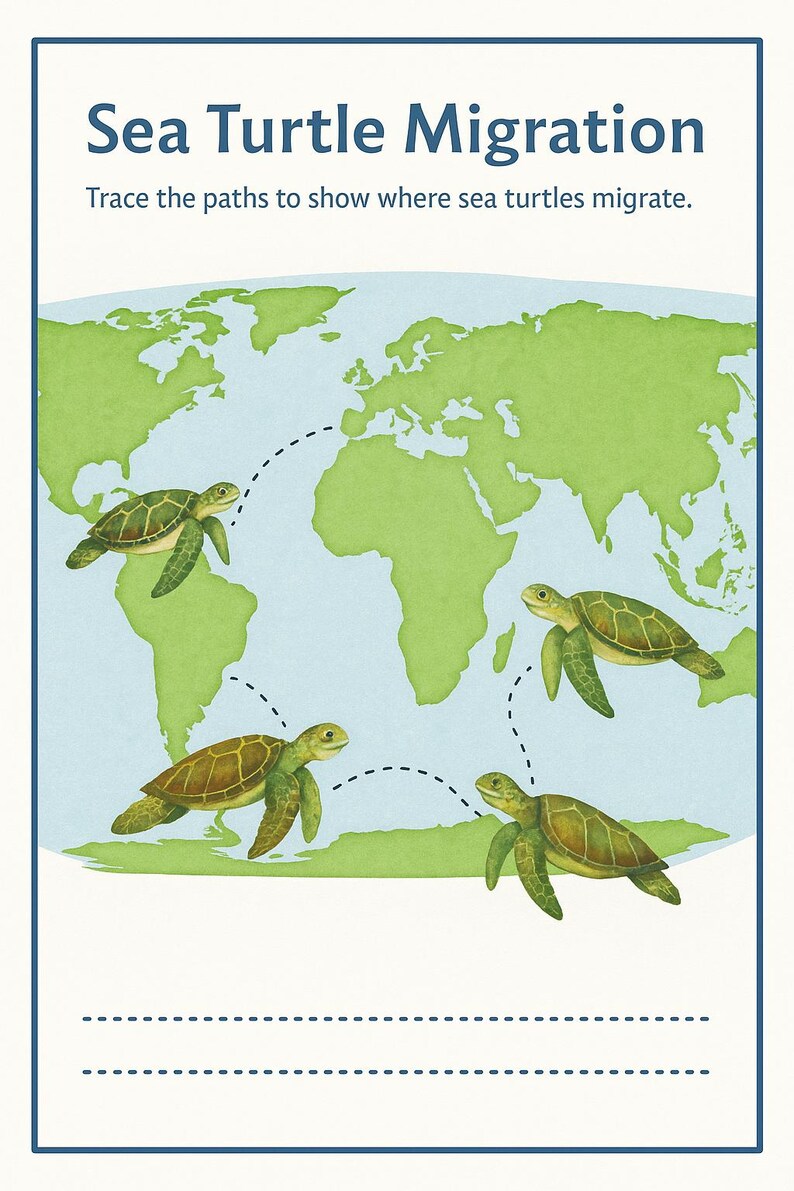 Life Cycle of a Sea Turtle Unit Study (prek-5th) - Etsy