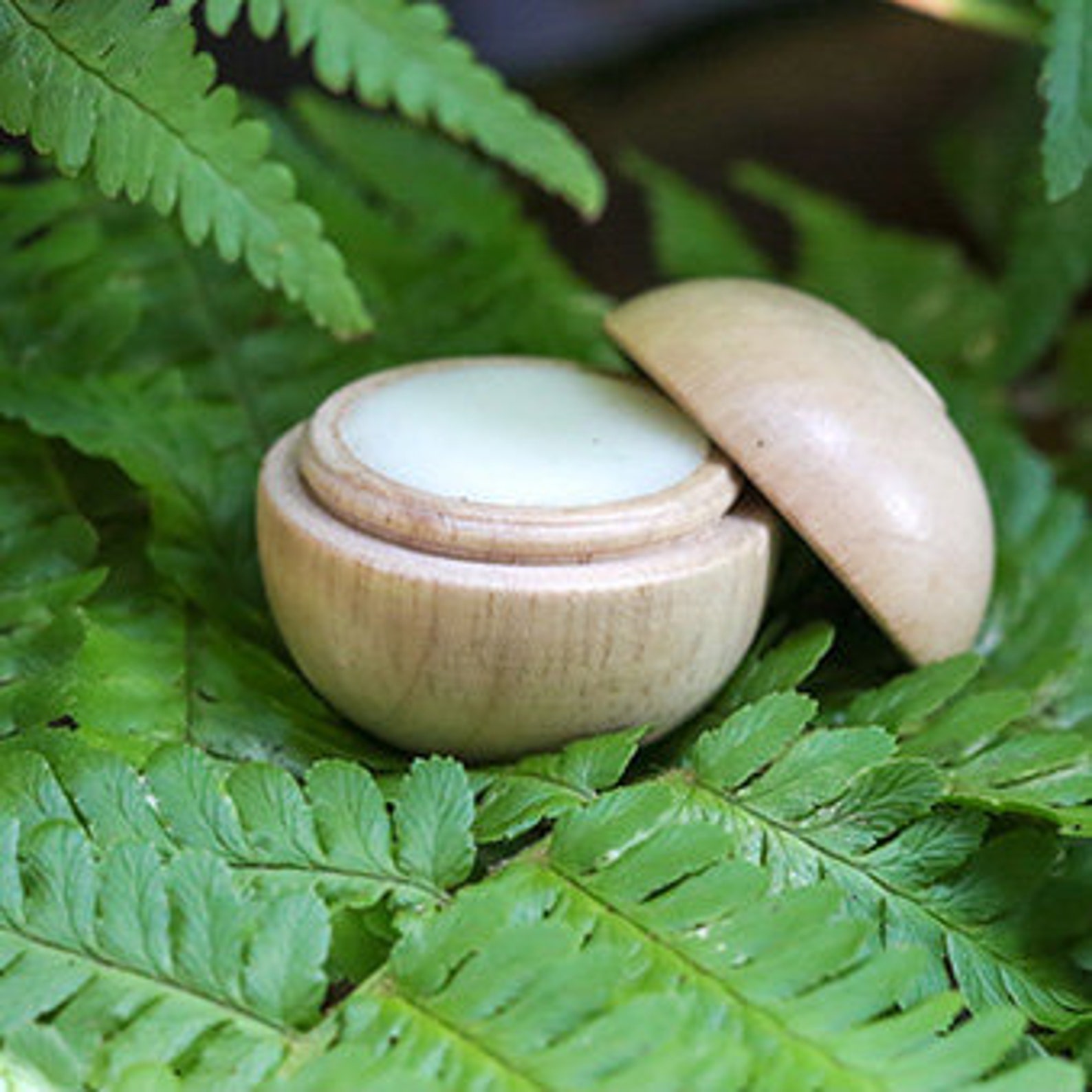 Solid Perfume Forest of Ferns - Etsy