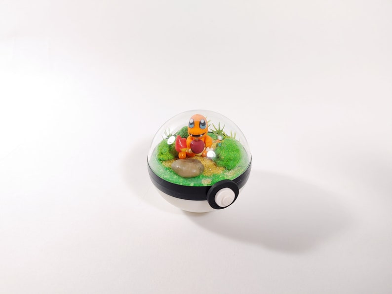 Charmander Pokeball Terrarium Pokemon Terrarium Fairy - Etsy