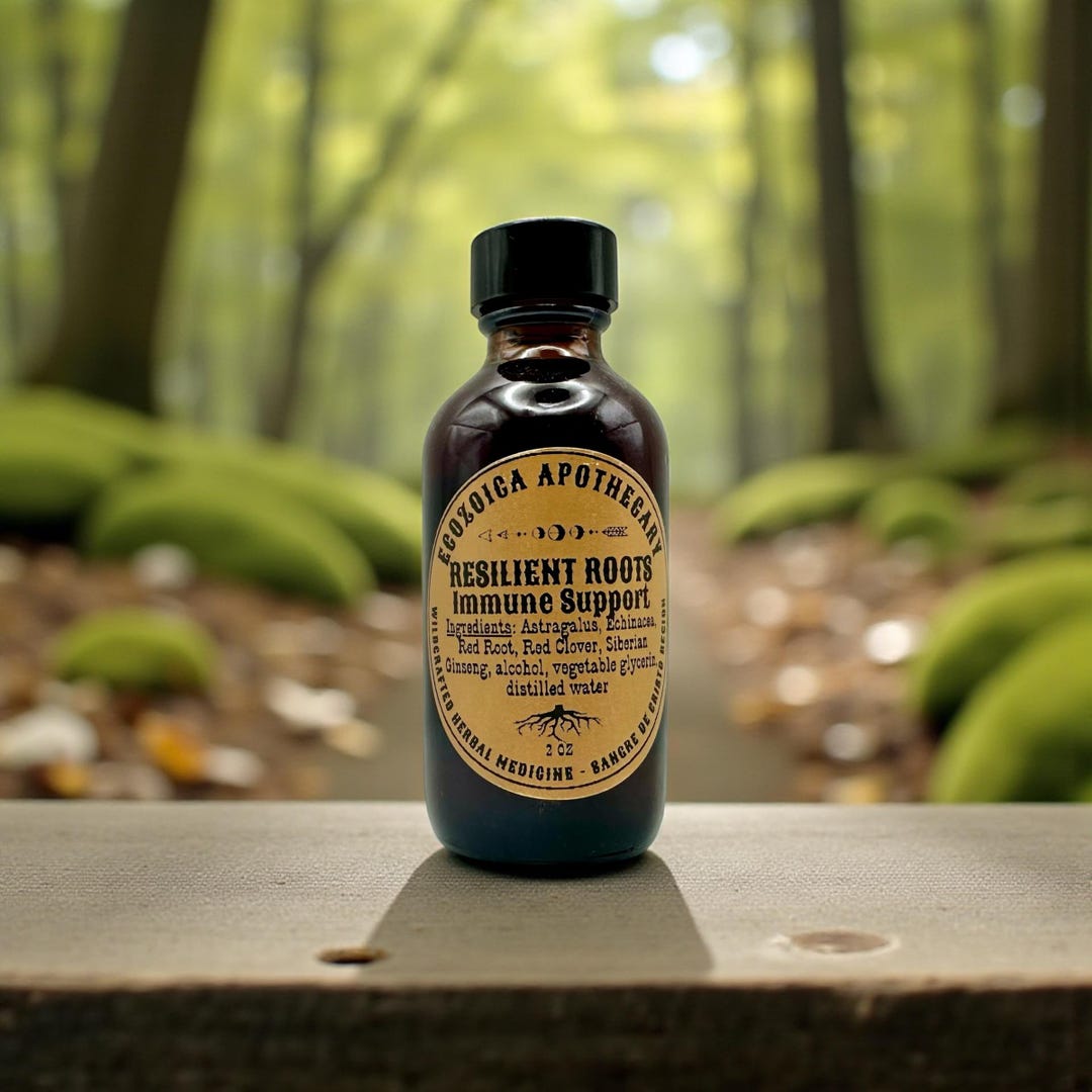 Resilient Roots Herbal Tincture | Astragalus, Echinacea, Red Root, Red ...