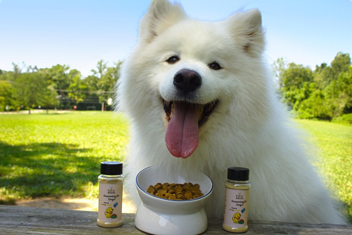 Dog Food Seasoning (kibble Topper)- Natural Beef & Cheese Flavor ...