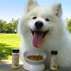 Dog Food Seasoning (kibble Topper)- Natural Beef & Cheese Flavor ...
