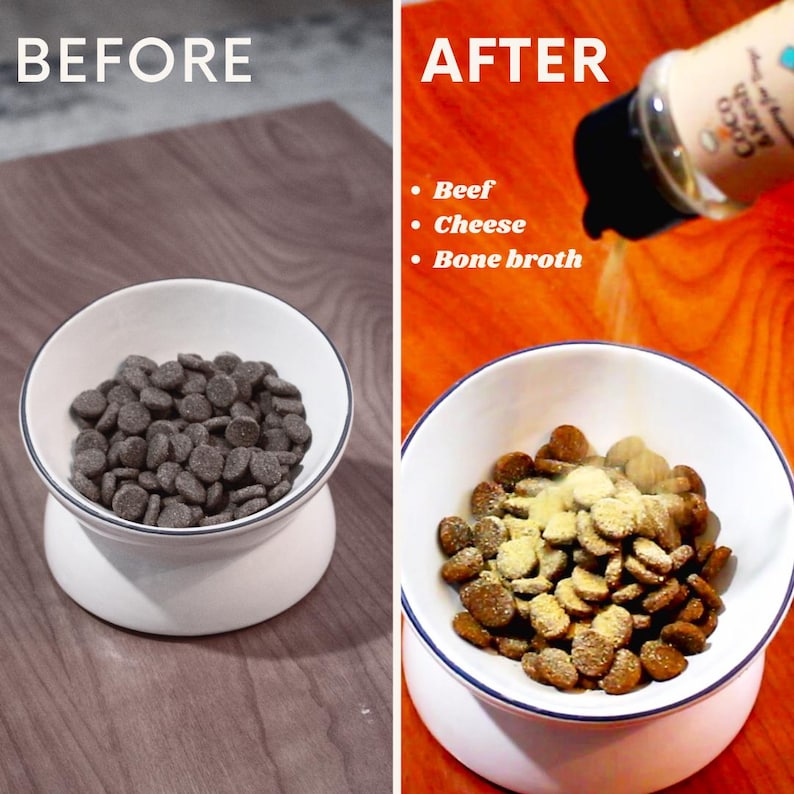 Dog Food Seasoning (kibble Topper)- Natural Beef & Cheese Flavor ...