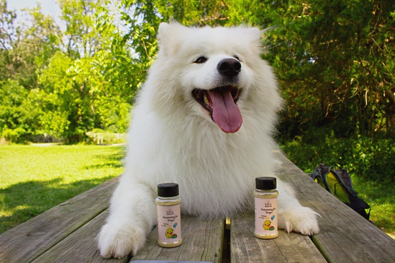 Dog Food Seasoning (kibble Topper)- Natural Beef & Cheese Flavor ...