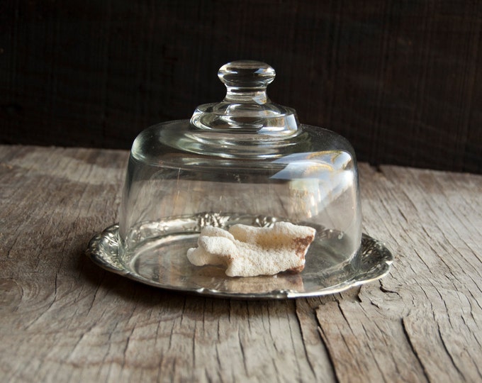 Glass Display Cloche With Rustic Silver Base - Etsy