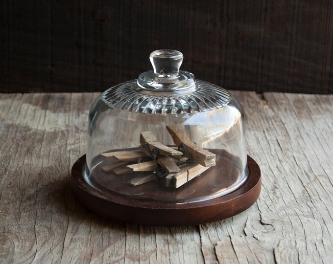 Glass Display Cloche With Rustic Wooden Base - Etsy