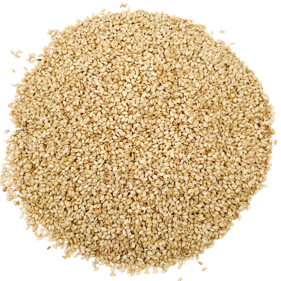 Organic Raw Sesame Seeds With Shell - Natural Unprocessed Bulk Seeds - Etsy