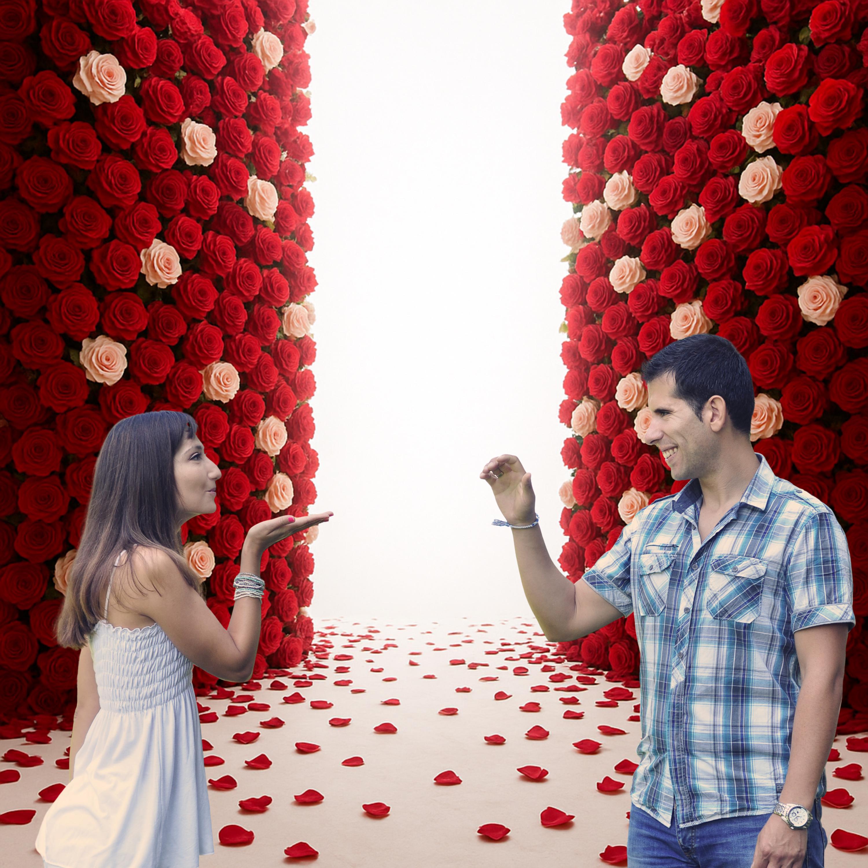 Luxury Rose Backdrop • Romantic Red and White Rose Columns With Petal ...