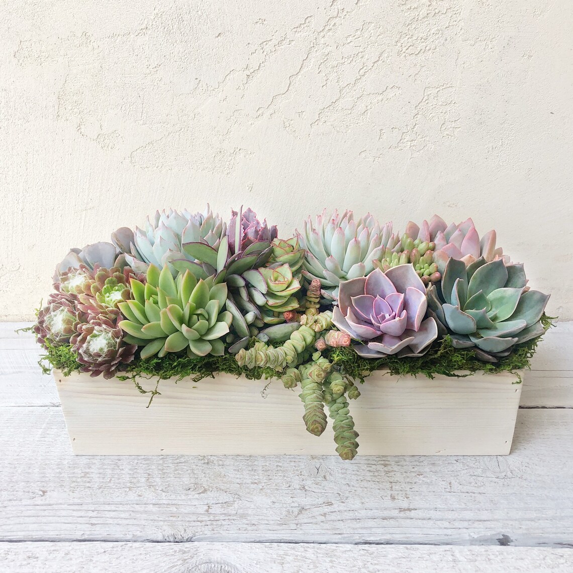 18 Rectangular Succulent Arrangement Succulent Gift Client - Etsy Australia