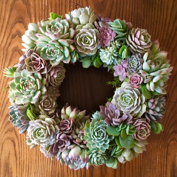 Living Wreath - Etsy