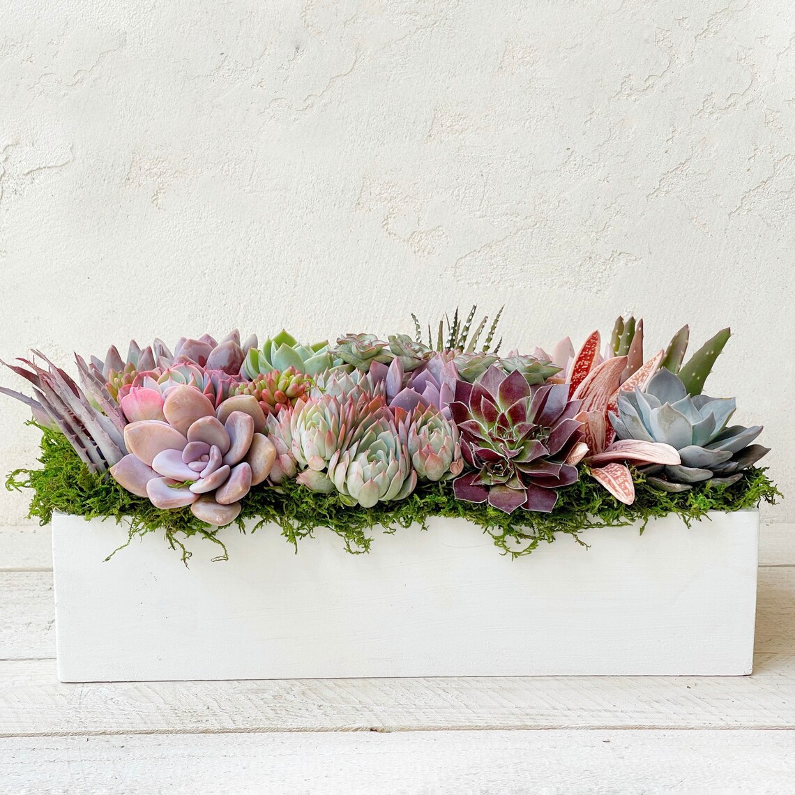18 Rectangular Succulent Arrangement Succulent Gift Client - Etsy Australia