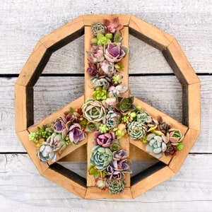 Pease Sign Shaped Vertical Garden With Live Succulents – Peace Sign ...