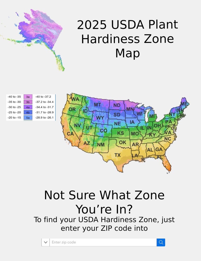 Summer Planting Calendar Zones 3–5 | Companion Planting Guide ...