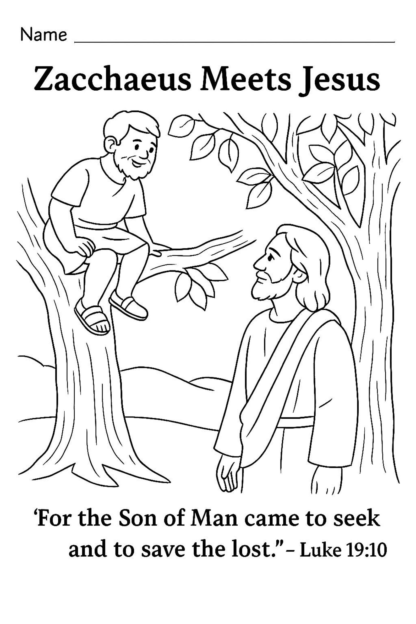 Zacchaeus Meets Jesus Kids Bible Lesson: Coloring Page & Story (PDF ...