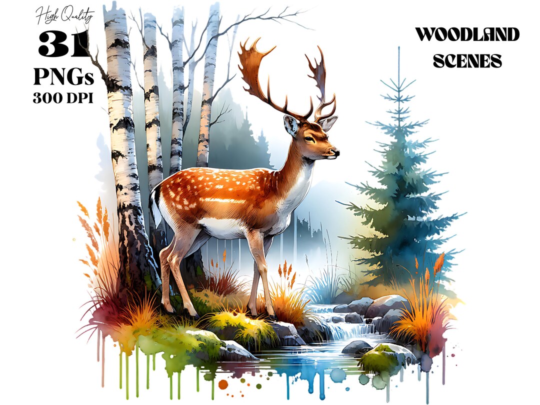 Woodland Animals & Forest Scene Clipart | 31 PNG | 300 DPI Transparent ...