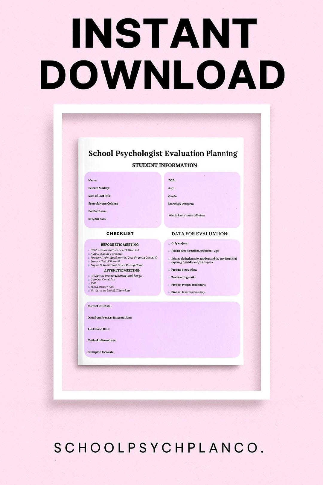 School Psychologist Evaluation Planner - Etsy