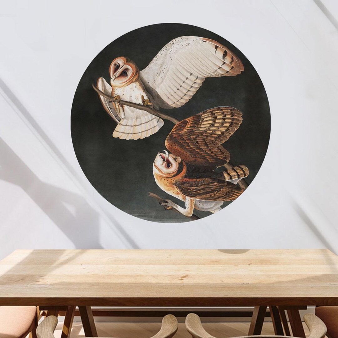 Dots Owls Round Wallpaper – Whimsical Owl & Forest Wall Mural for ...