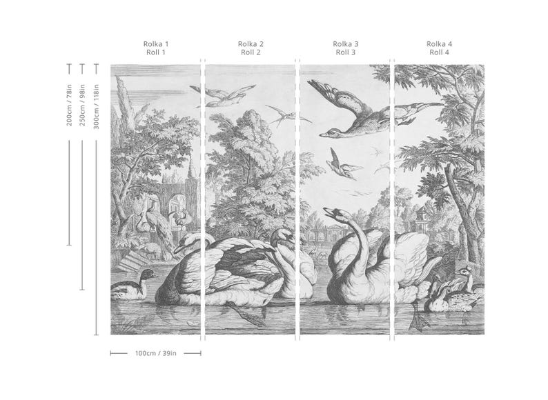 White Swans Wallpaper Mural – Elegant Focal Wall Art, Custom Size, Peel ...