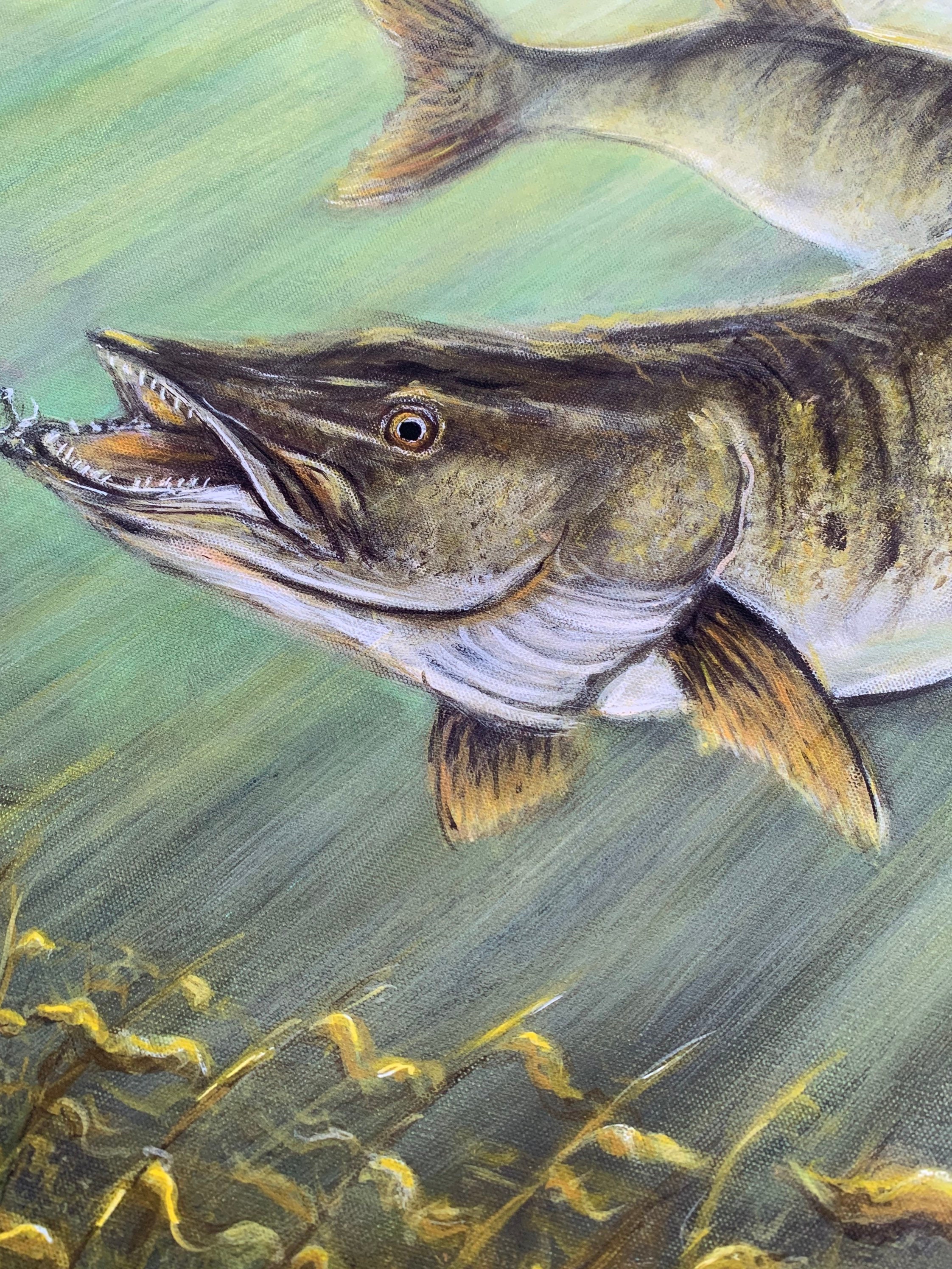 Marvin the Muskie Fishing Canvas Print Art Painting. Multiple - Etsy