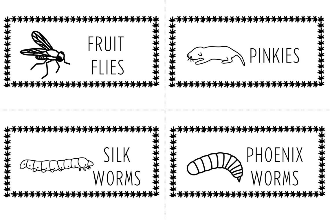 Feeder Labels for All Reptiles, Digital Download, Printable, Leopard ...