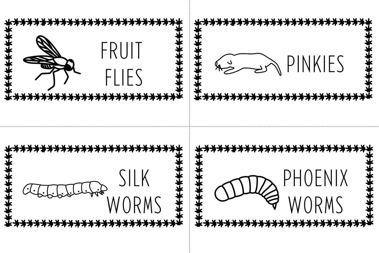Feeder Labels for All Reptiles, Digital Download, Printable, Leopard ...