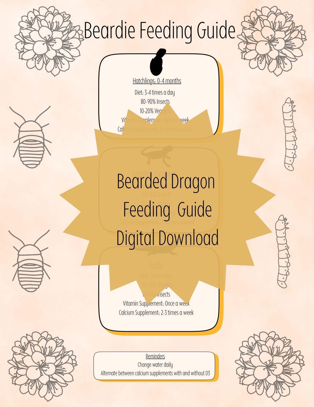 Bearded Dragon Feeding Guide: Beardie Care Sheet Digital Download ...
