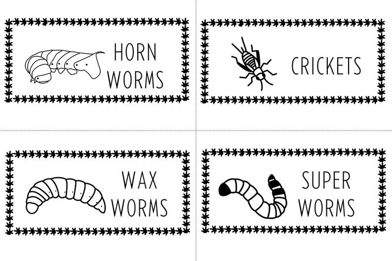 Feeder Labels for All Reptiles, Digital Download, Printable, Leopard ...