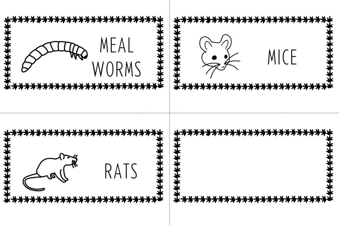 Feeder Labels for All Reptiles, Digital Download, Printable, Leopard ...