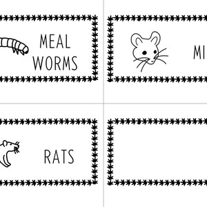 Feeder Labels for All Reptiles, Digital Download, Printable, Leopard ...