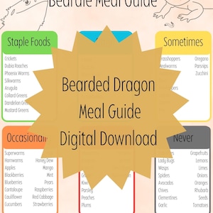 Cute Bearded Dragon Meal Guide: Printable Beardie Food Chart Digital ...