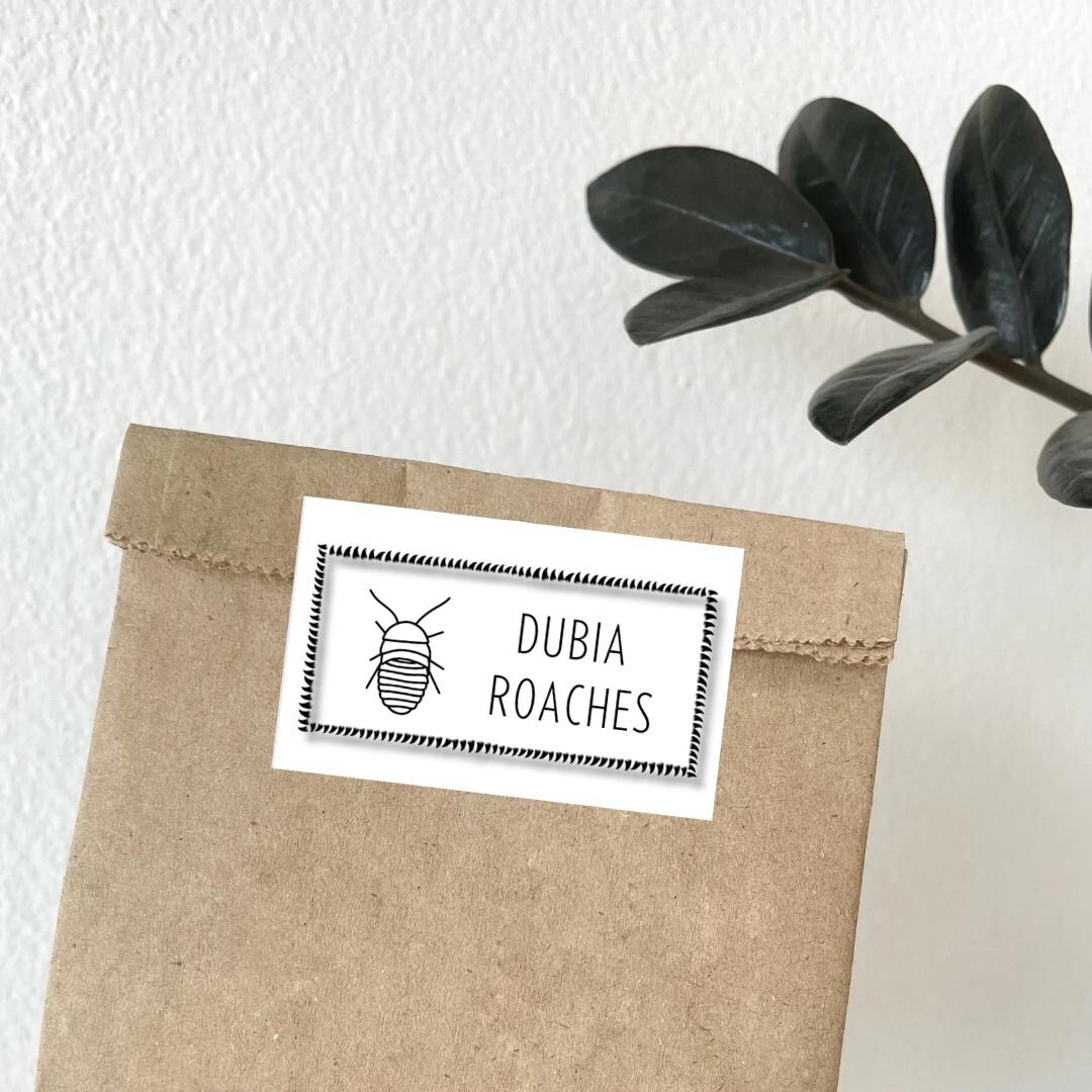 Feeder Labels for Beardie Diet Digital Download, Printable, Spiky ...