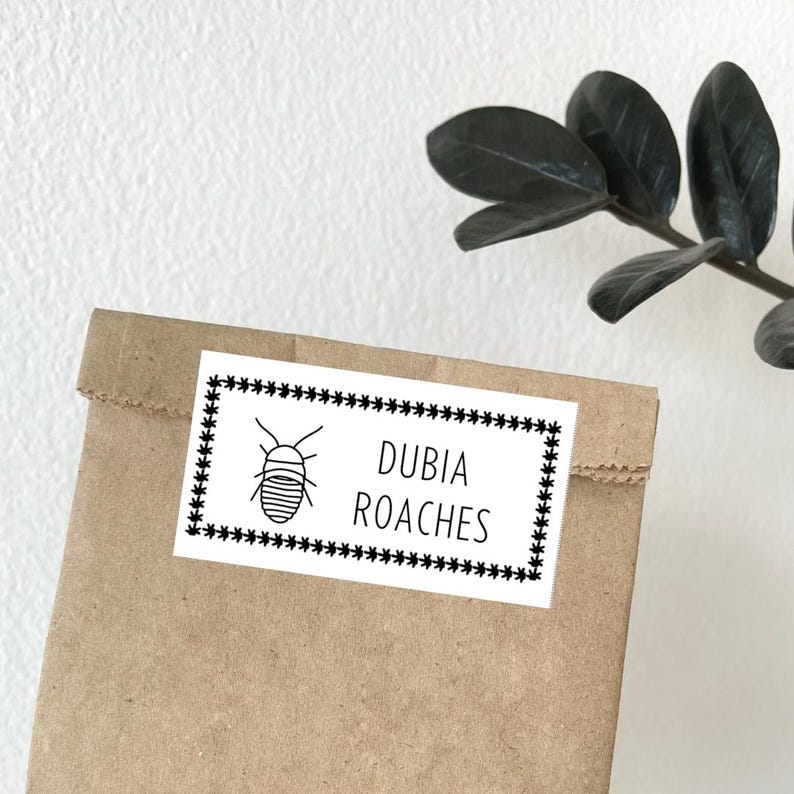 Feeder Labels for All Reptiles, Digital Download, Printable, Leopard ...