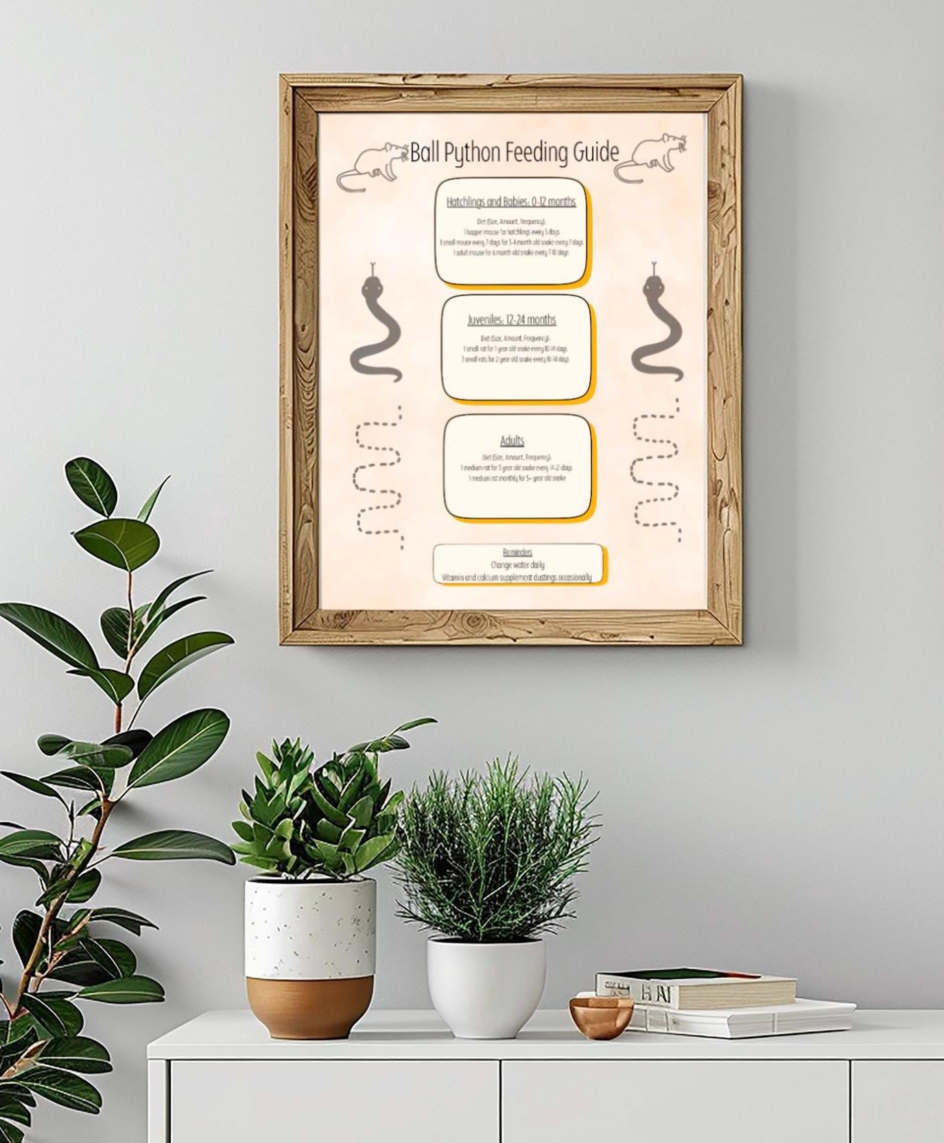 Ball Python Feeding Guide Digital Download, Printable, Care Sheet ...