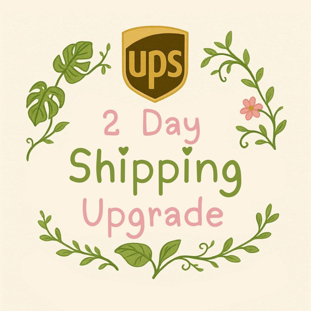 UPS 2 Day Shipping Upgrade - Etsy