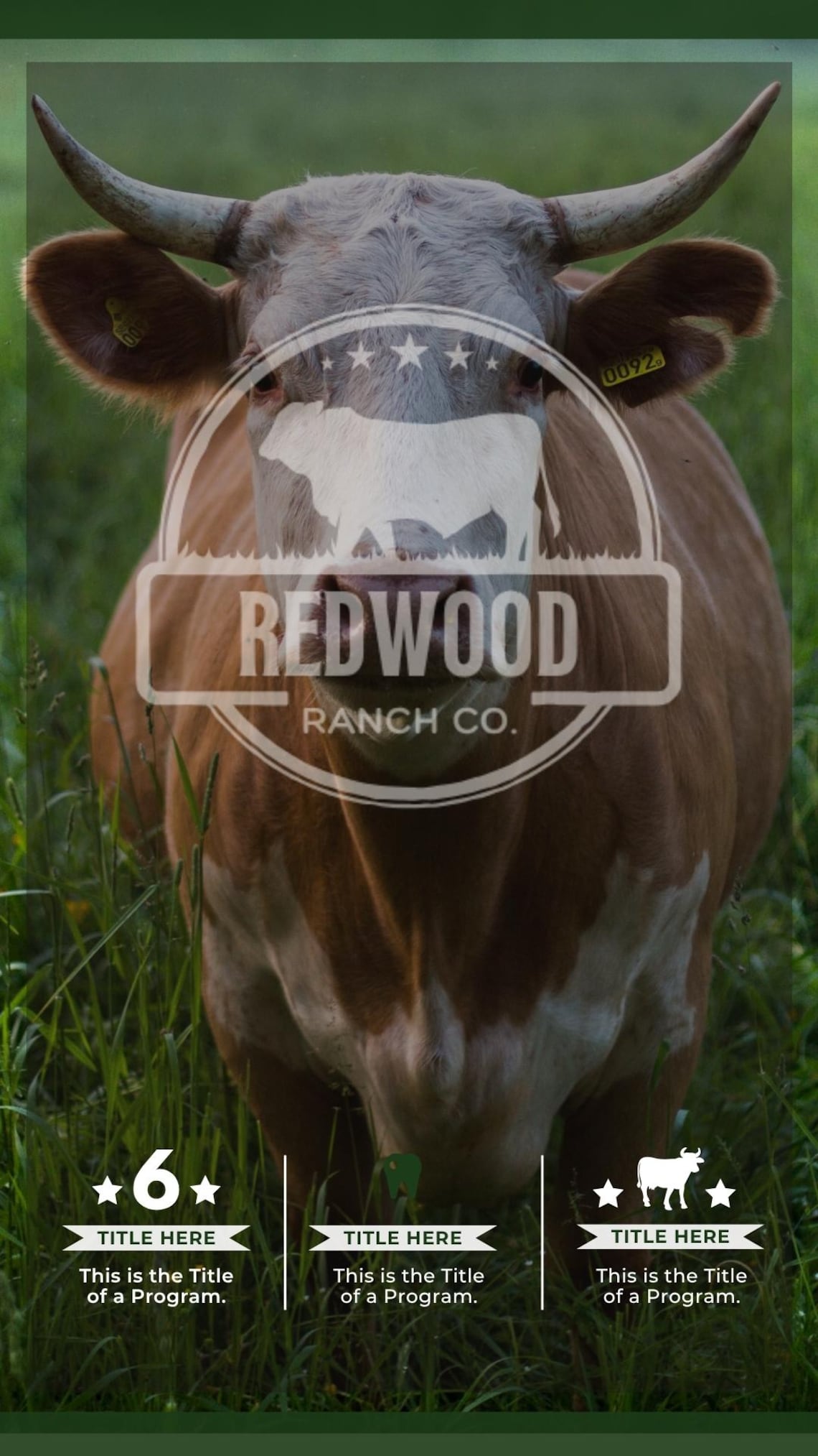 Ranch Brand Kit: Rustic Logo Templates + Canva Brand Board (digital ...