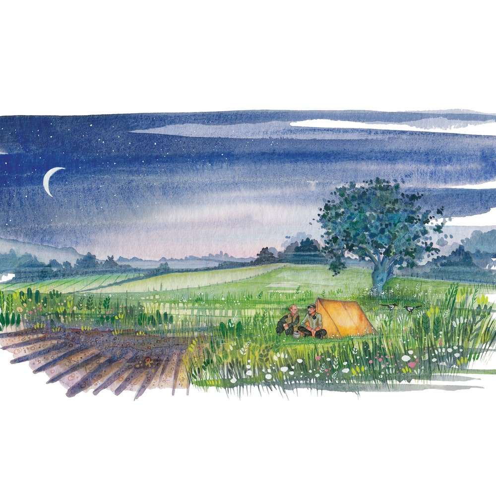 KateBrazierArtist - Etsy