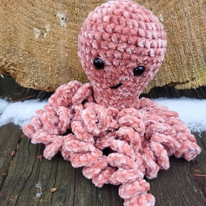 Octopus, Pink Octopus, Cephlopod, Velvet, Squid, Octo, Ocean Life, Sea ...