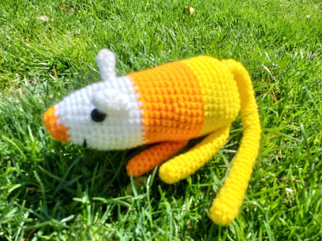 Candy Corn Rat Friend, Pet Rat, Candy Corn, Rodent, Halloween, Albino ...
