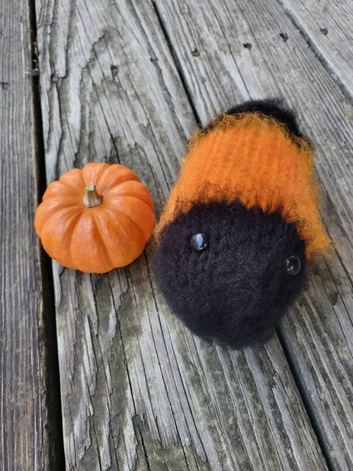 Woollybear Caterpillars Tiger Moth Fuzzy Worm Autumn - Etsy