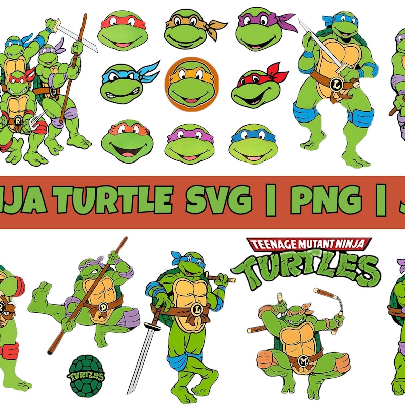 Png Turtle Cups - Etsy