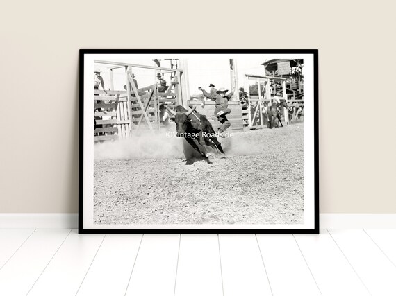 Vintage Pendleton Round up Photo Bull Rider Archival Print | Etsy
