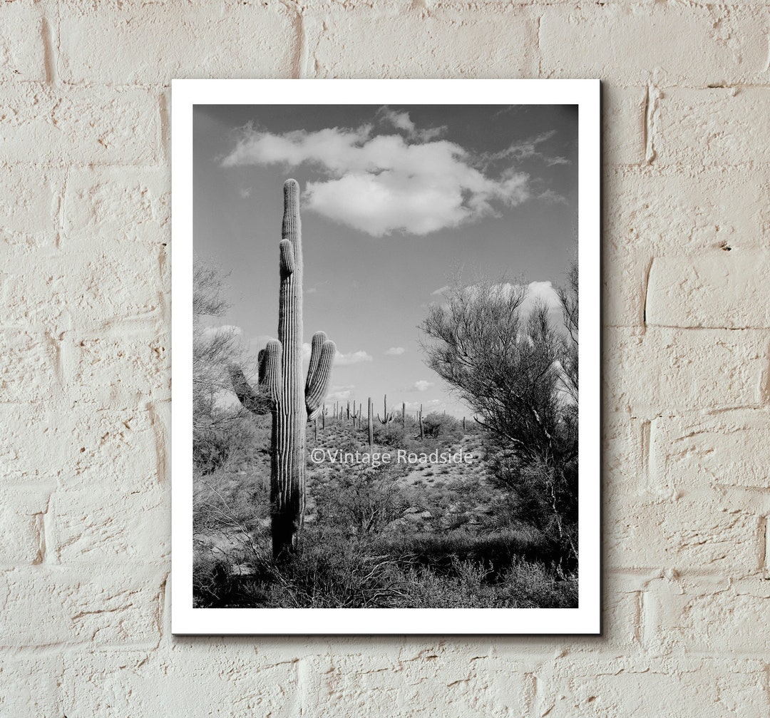 Vintage Desert Landscape Photo, Archival Print From Original Negative ...