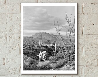 Picacho Peak Arizona Cactus Photo Archival Print From | Etsy