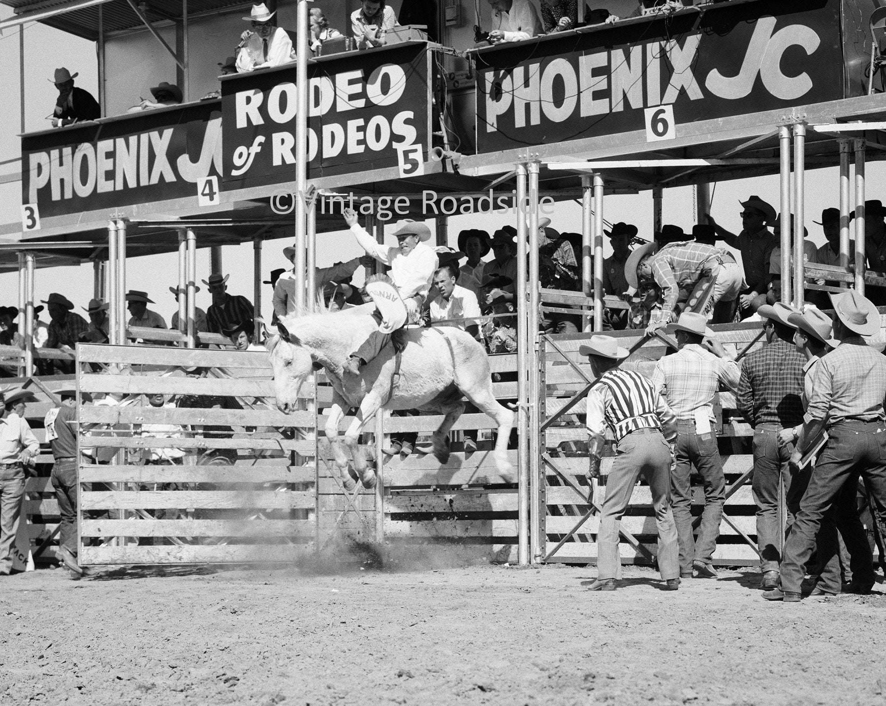 Vintage Rodeo Photo Black and White Archival Print From - Etsy