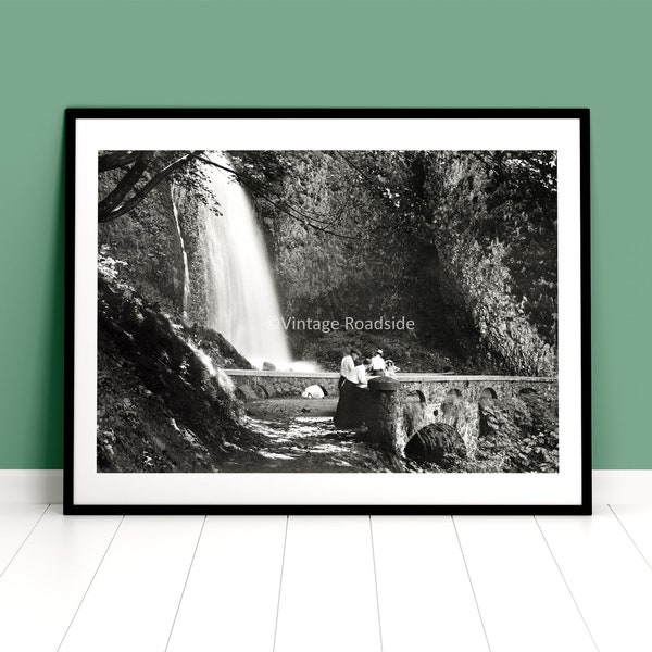 1920s Nature Print - Etsy