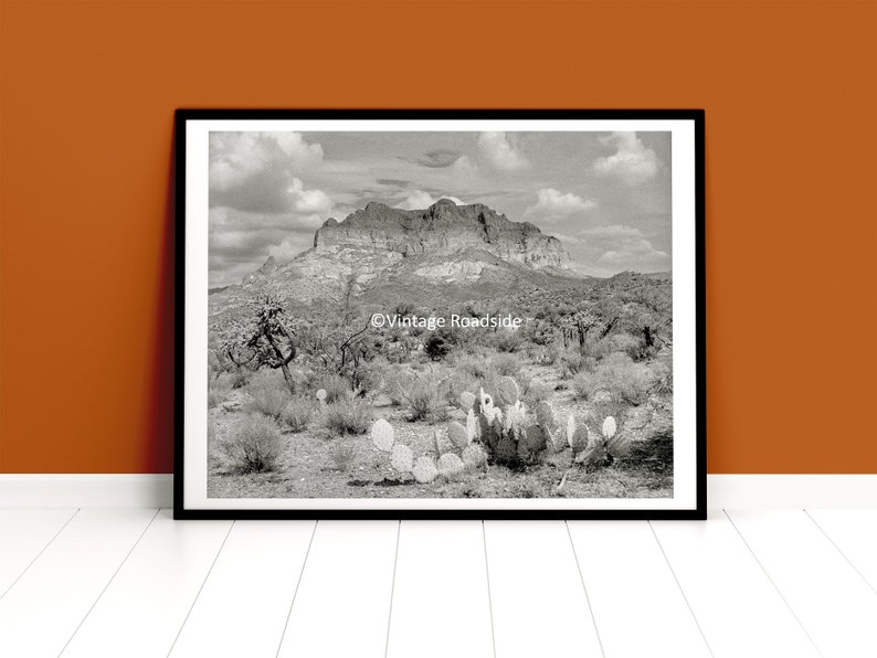 Picacho Peak Arizona Cactus Photo Archival Print From - Etsy