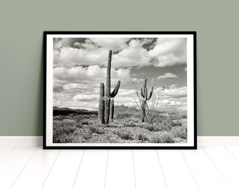 Picacho Peak Arizona Cactus Photo Archival Print From | Etsy
