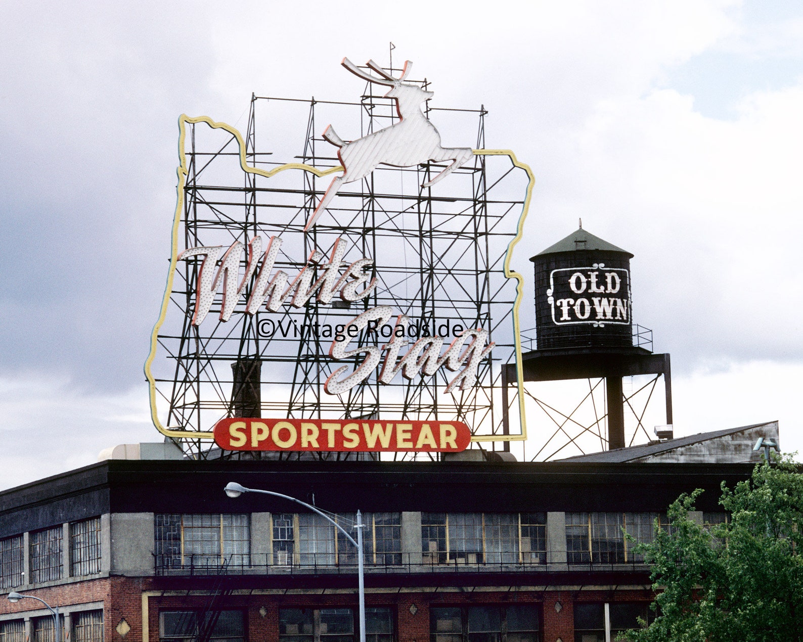 White Stag Sportswear Neon Sign 1978 Kodachrome Portland - Etsy