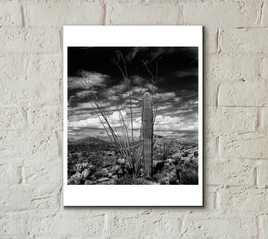Vintage Arizona Desert Landscape Photo 8x10 Print From an - Etsy