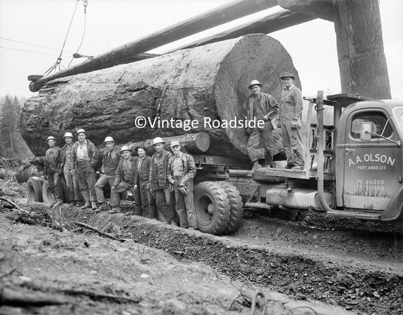 Logging Pictures Pacific Northwest